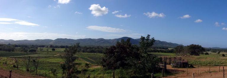 Farming Experiences a Revival in Puerto Rico | Vámonos Tours